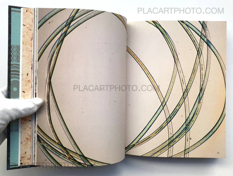 Timothy Prus: The Whale's Eyelash : A Play in five acts, Archive of ...