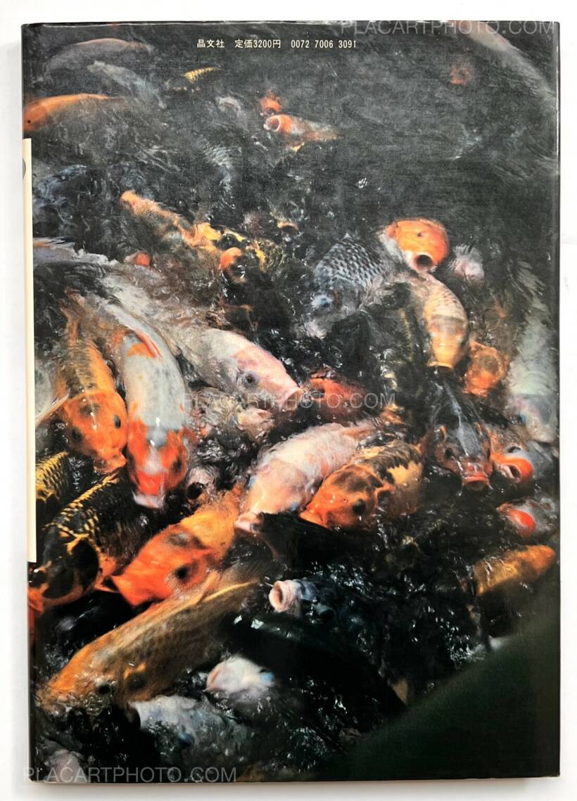 Takuma Nakahira: Aratanaru gyoushi / New Gaze, Shobun sha, 1983 | Bookshop Le Plac'Art Photo