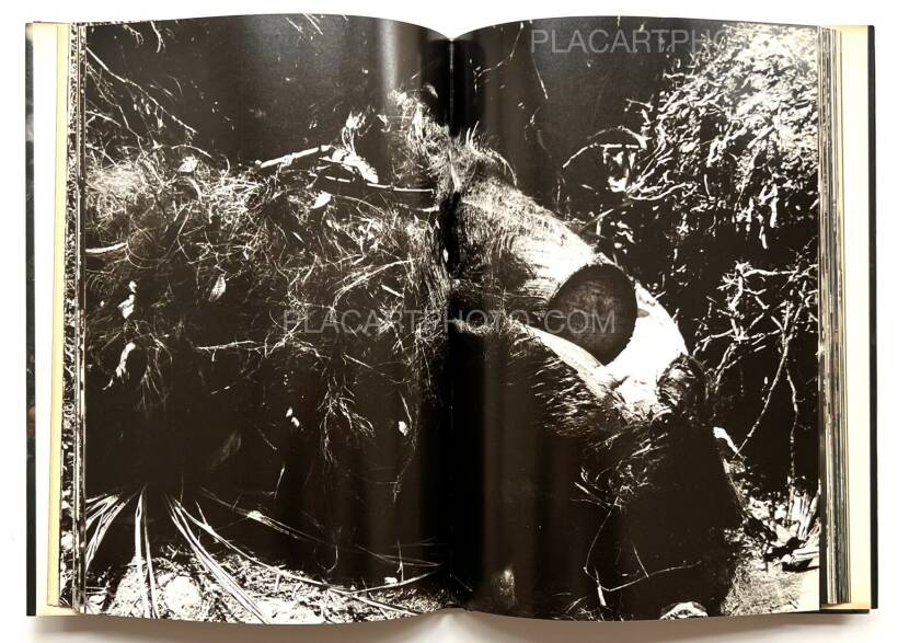 Takuma Nakahira: Aratanaru gyoushi / New Gaze, Shobun sha, 1983 | Bookshop Le Plac'Art Photo